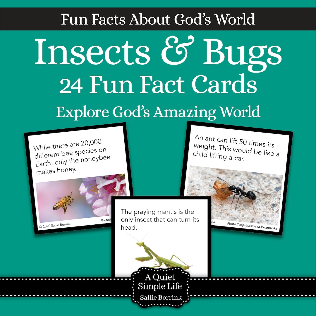 Insects and Bugs Fun Facts Cards – Printable Activity - Etsy