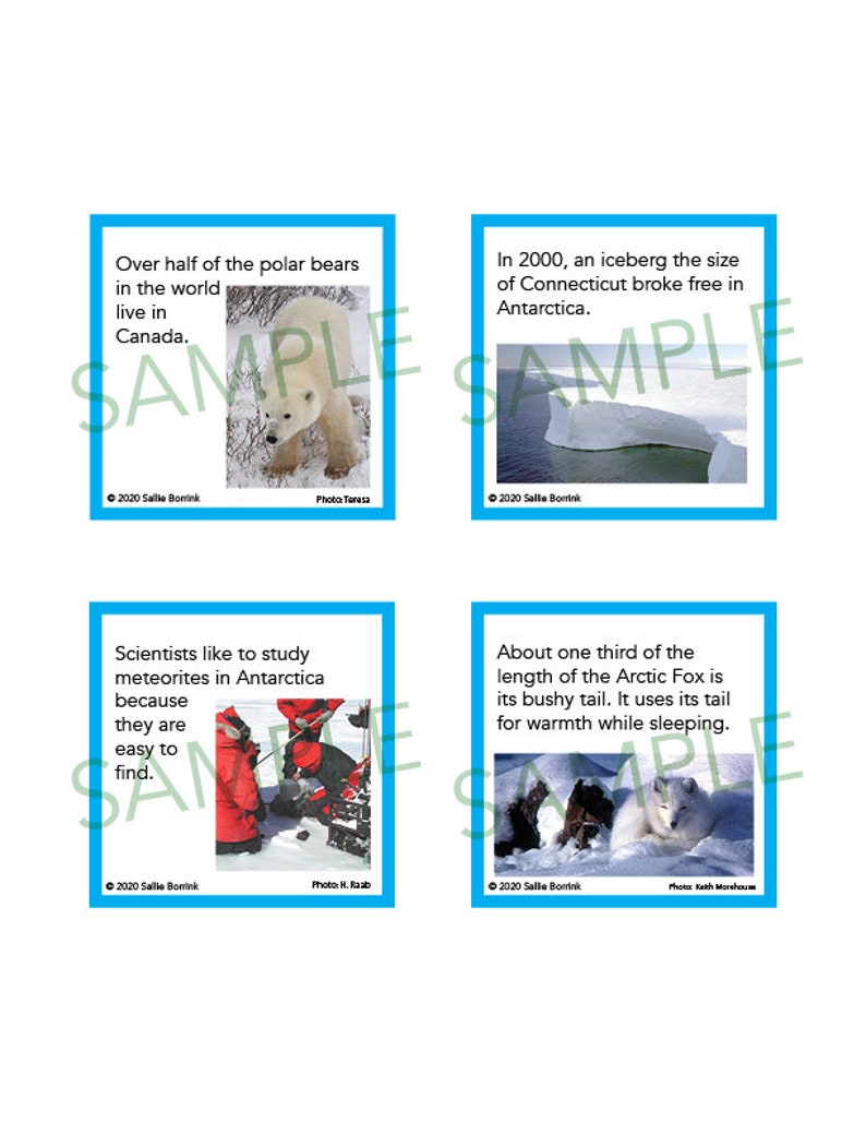 Arctic and Antarctic Fun Facts Cards – Printable Activity - Etsy