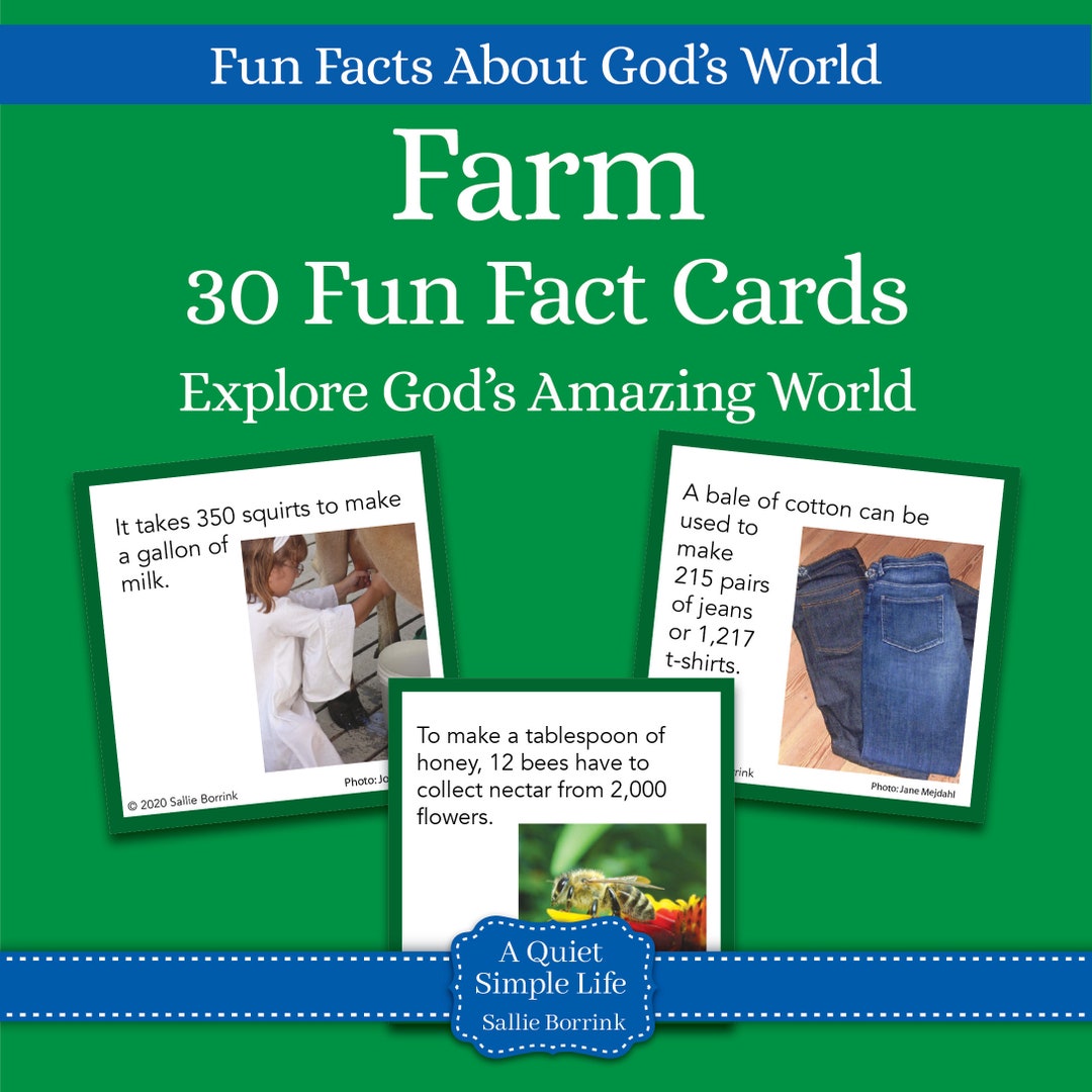 Farm Fun Facts Cards – Printable Activity - Etsy