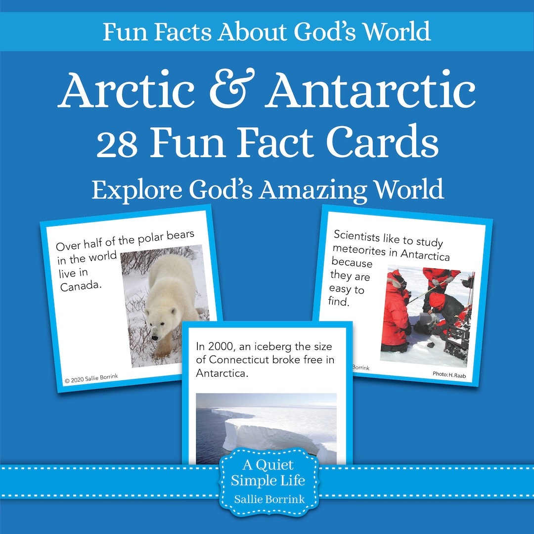 Arctic and Antarctic Fun Facts Cards – Printable Activity - Etsy