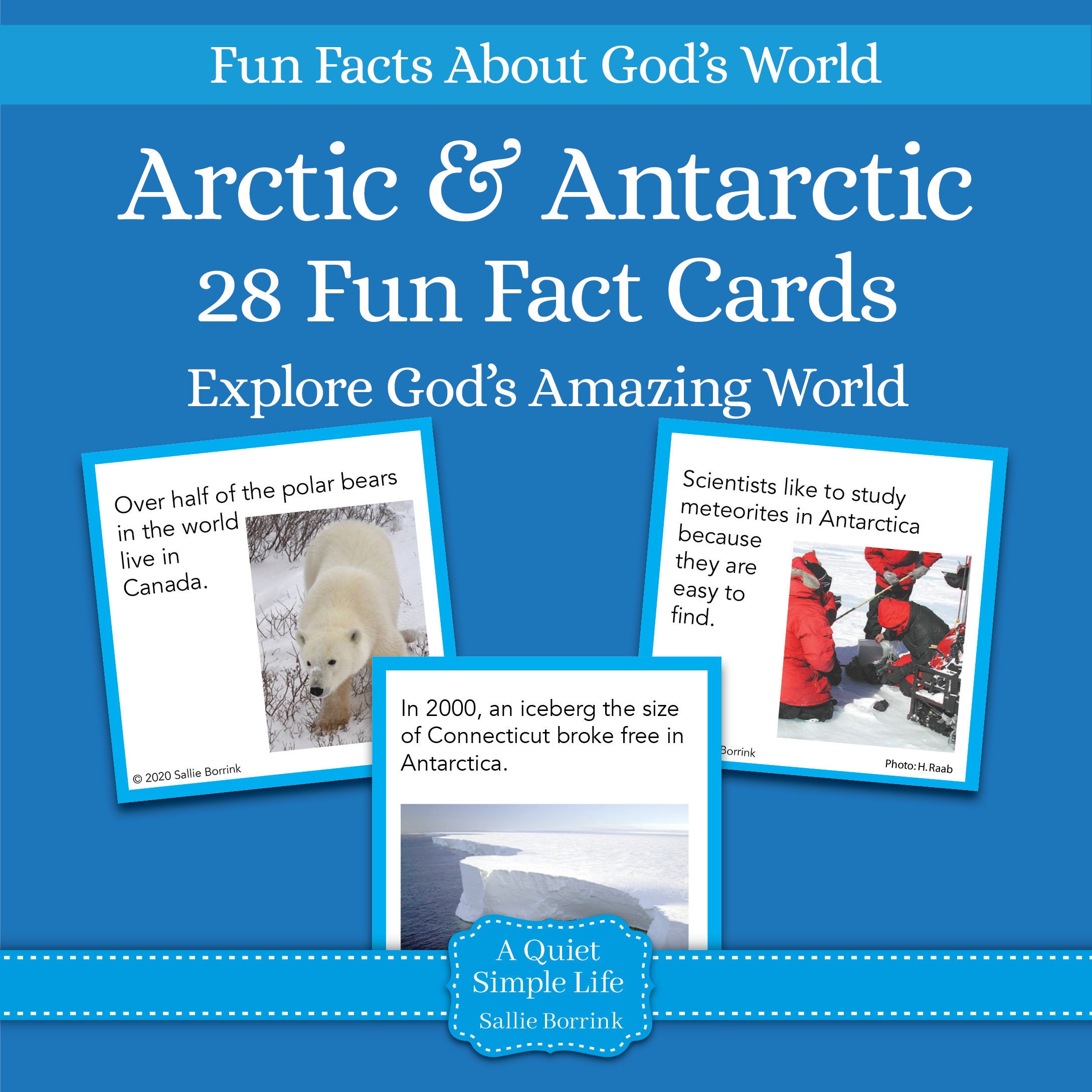 Arctic and Antarctic Fun Facts Cards – Printable Activity - Etsy