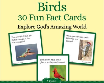 Mexico Fun Facts Cards – Printable Activity - Etsy