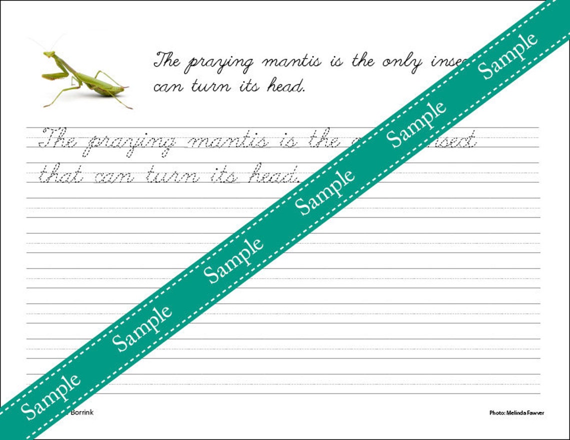 Insects & Bugs Copywork – Print and Cursive - Etsy