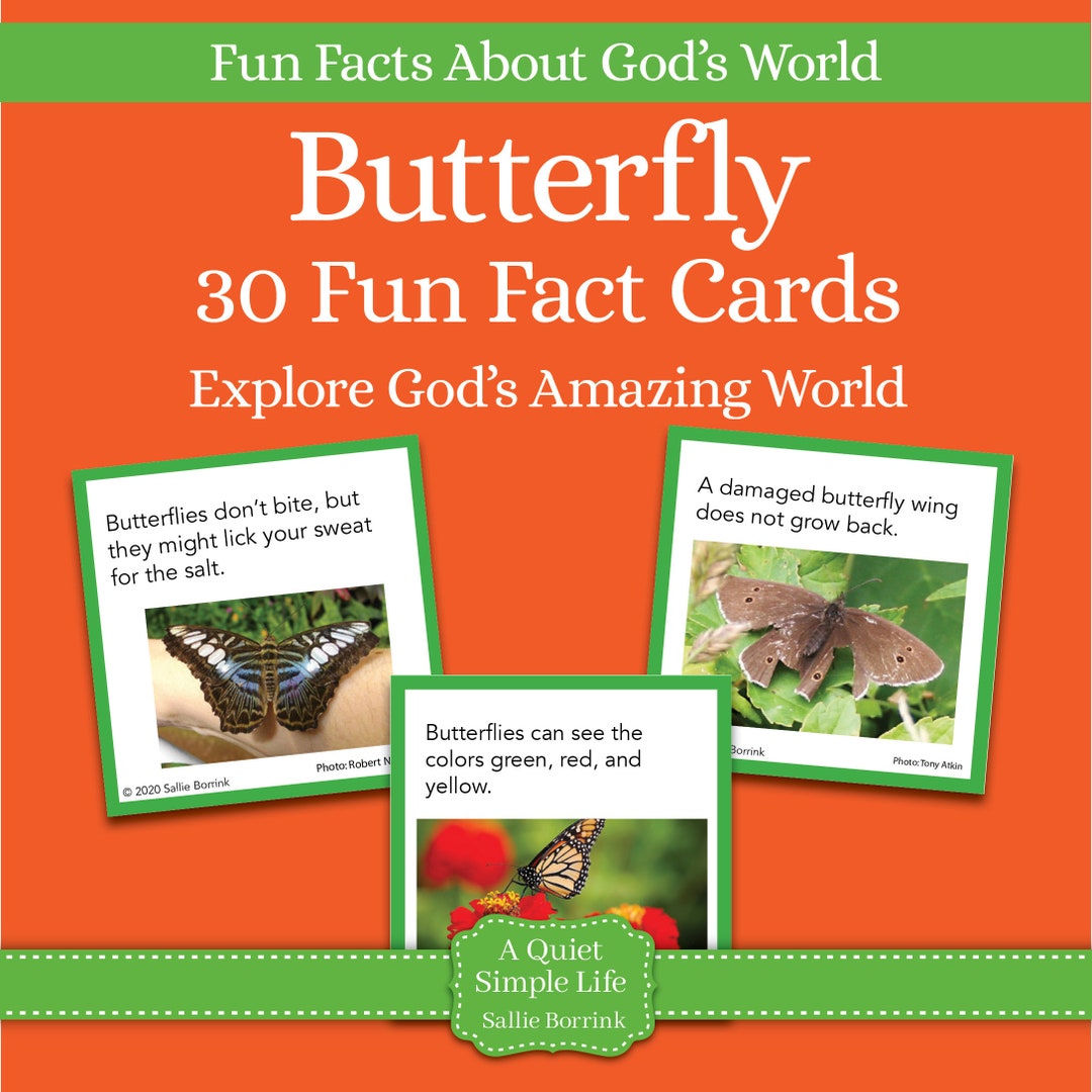 Butterfly Fun Facts Cards – Printable Activity - Etsy
