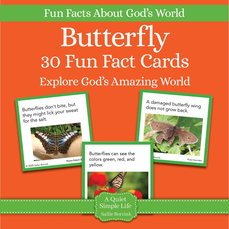Butterfly Fun Facts Cards – Printable Activity - Etsy