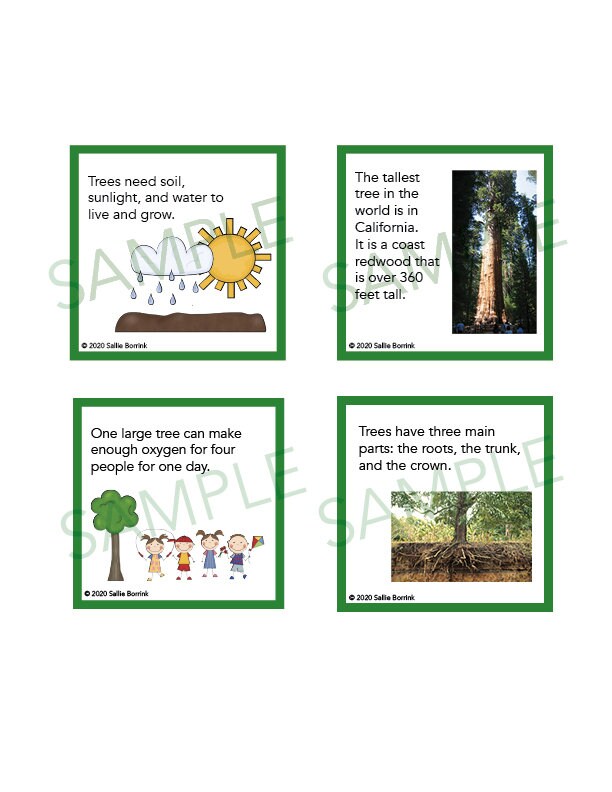 Trees Fun Facts Cards – Printable Activity - Etsy