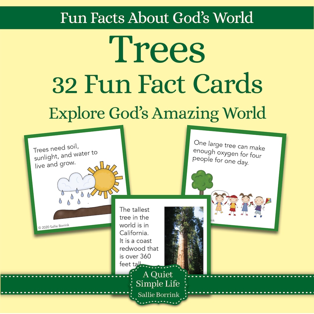 Trees Fun Facts Cards – Printable Activity - Etsy