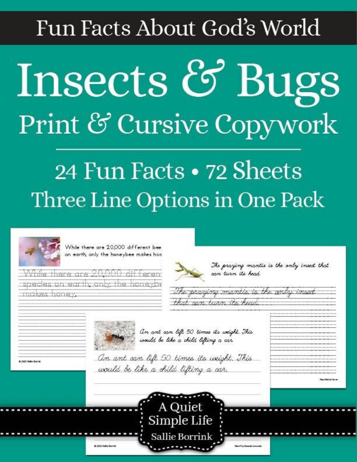 Insects & Bugs Copywork Print and Cursive - Etsy