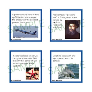 Ocean Fun Facts Cards – Printable Activity - Etsy