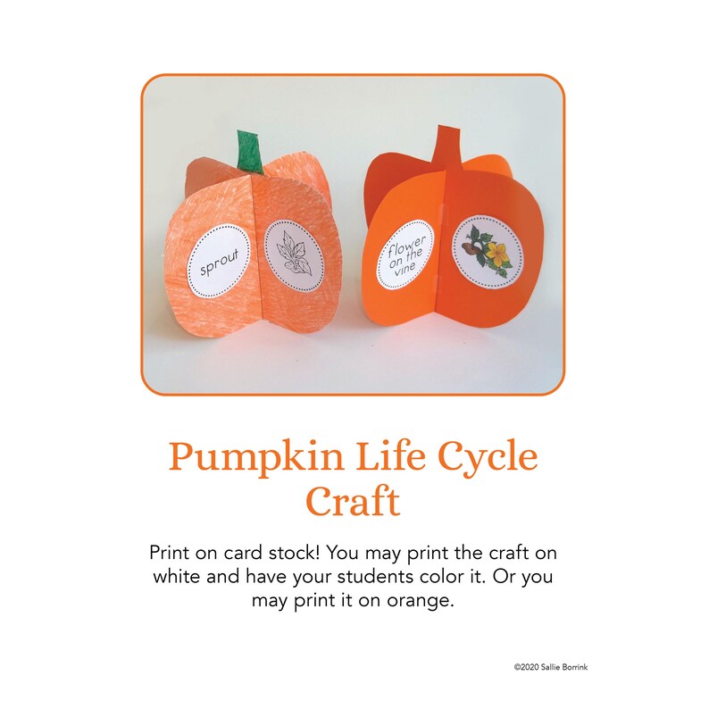 Pumpkin Life Cycle Craft - Etsy