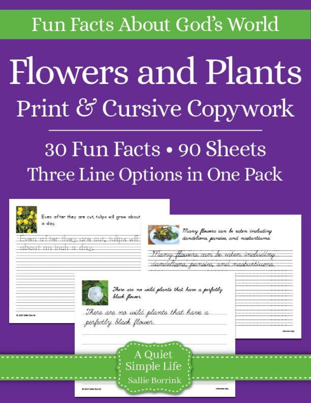 Flowers & Plants Copywork Print and Cursive - Etsy