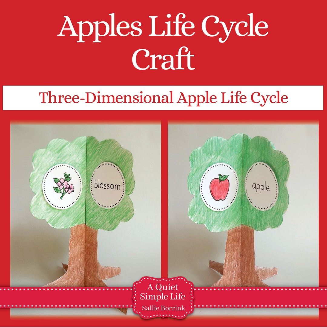 Apples Life Cycle Craft - Etsy