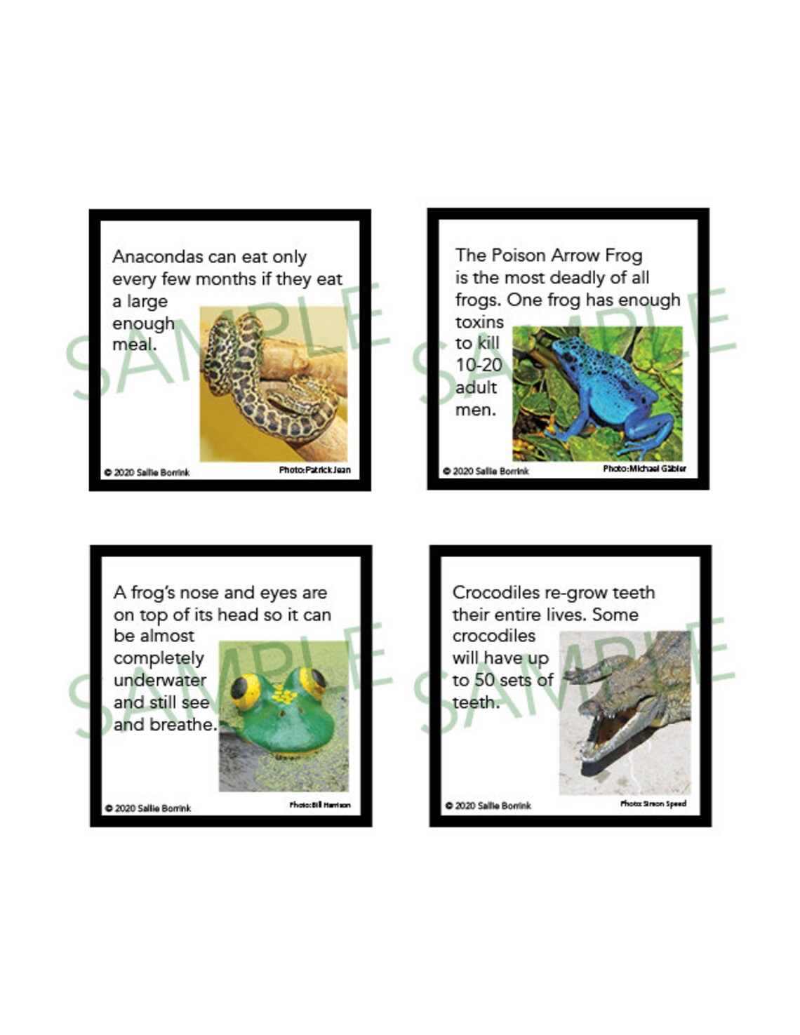 Reptiles and Amphibians Fun Facts Cards – Printable Activity - Etsy