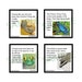 Reptiles and Amphibians Fun Facts Cards – Printable Activity - Etsy