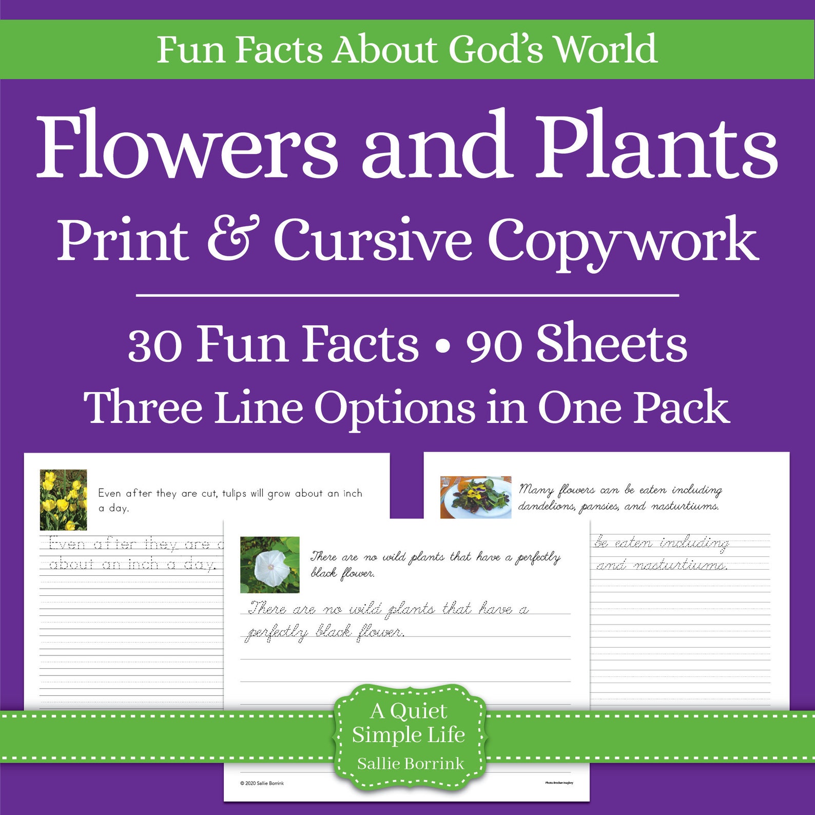 Flowers & Plants Copywork – Print and Cursive - Etsy