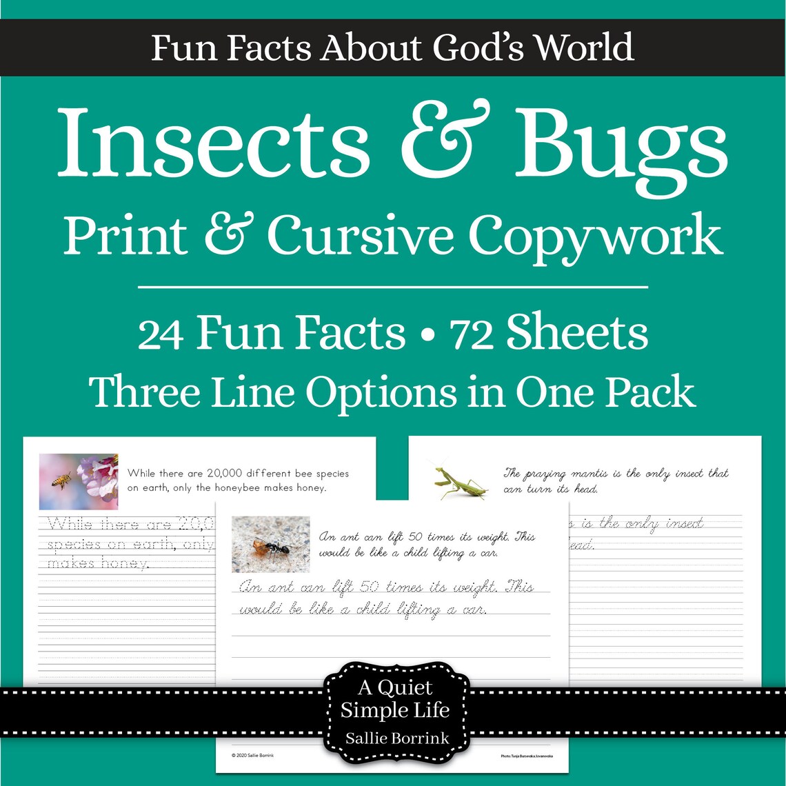 Insects & Bugs Copywork – Print and Cursive - Etsy