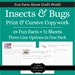 Insects & Bugs Copywork – Print and Cursive - Etsy