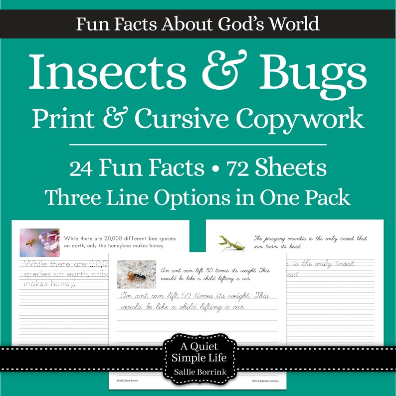 Insects & Bugs Copywork – Print and Cursive - Etsy