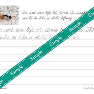 Insects & Bugs Copywork – Print and Cursive - Etsy