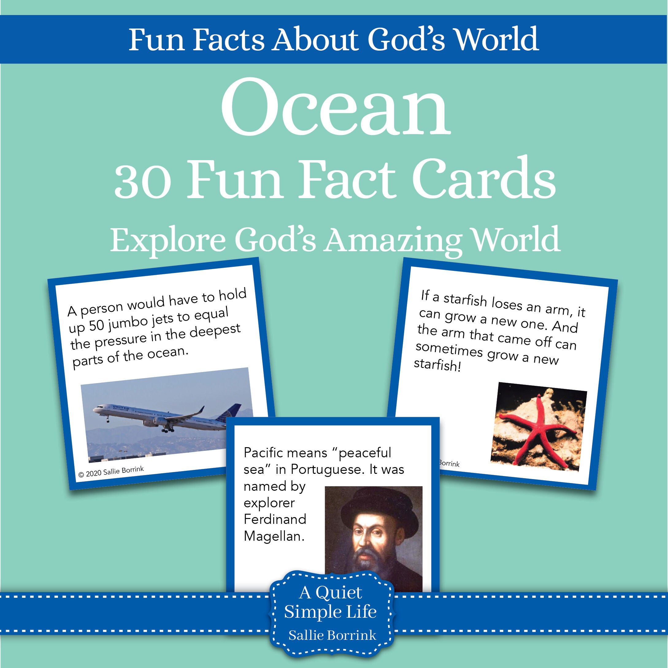 Ocean Fun Facts Cards – Printable Activity - Etsy