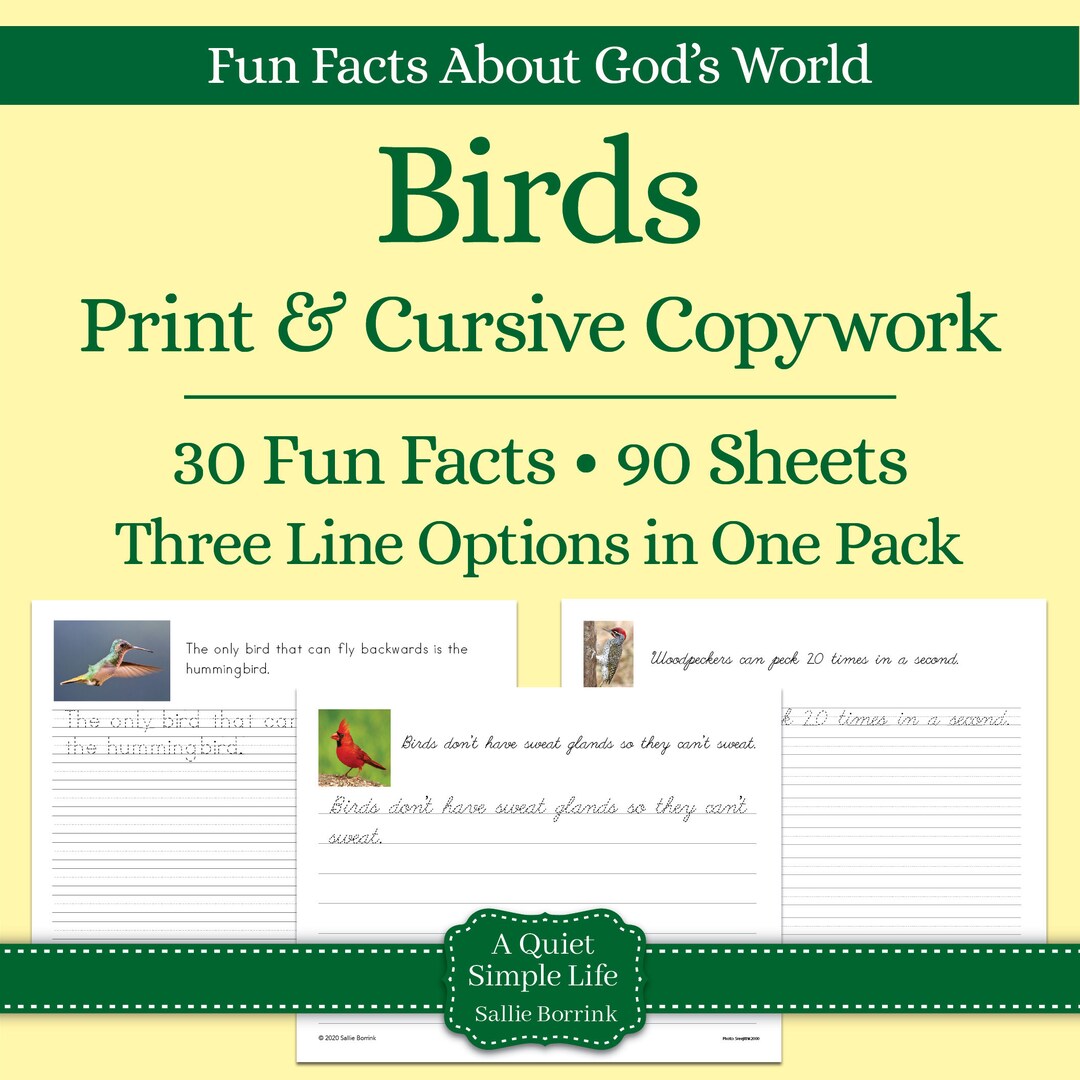 Birds Copywork – Print & Cursive - Etsy