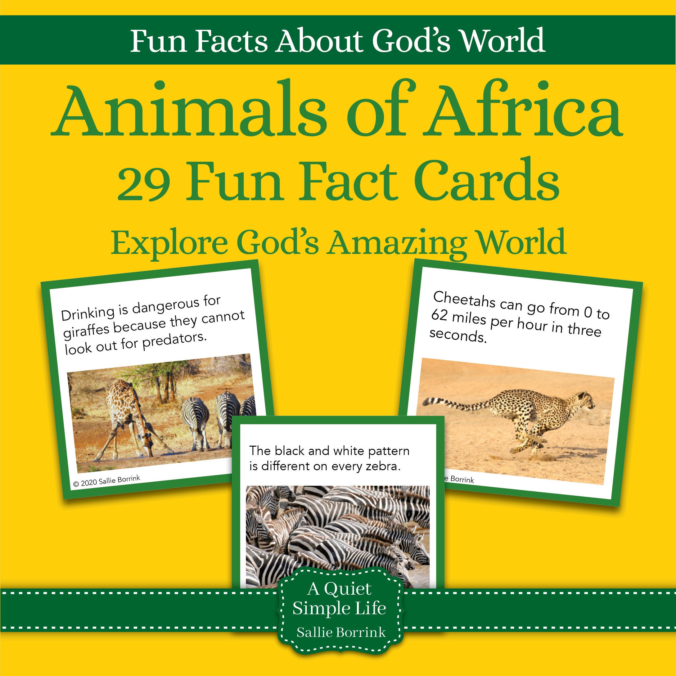 Animals of Africa Fun Facts Cards – Printable Activity - Etsy