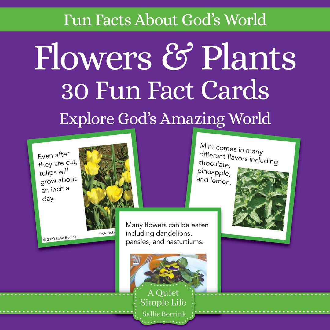 Flowers and Plants Fun Fact Cards – Printable Activity - Etsy