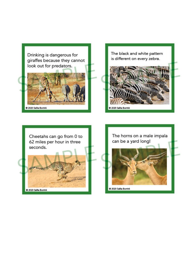 Animals of Africa Fun Facts Cards – Printable Activity - Etsy