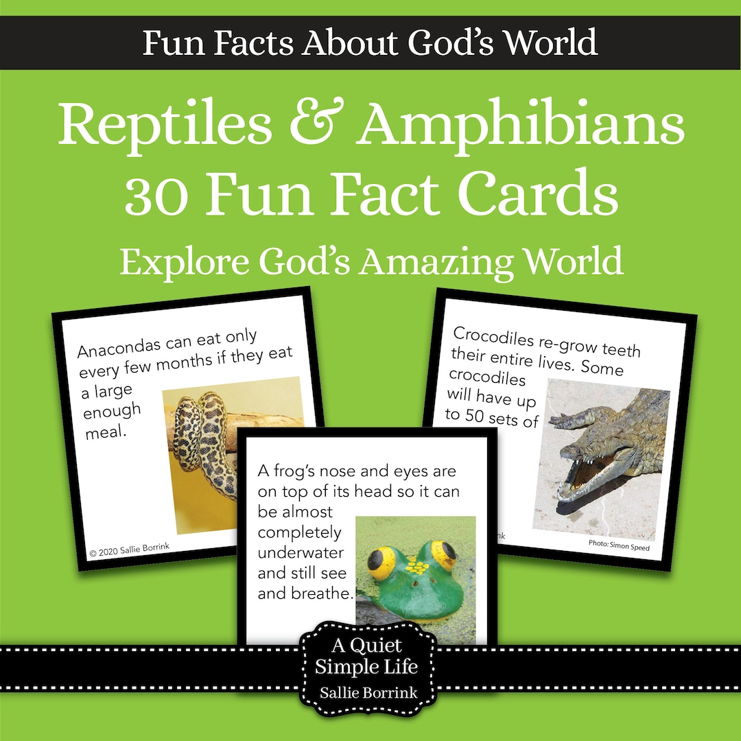 Reptiles and Amphibians Fun Facts Cards – Printable Activity - Etsy