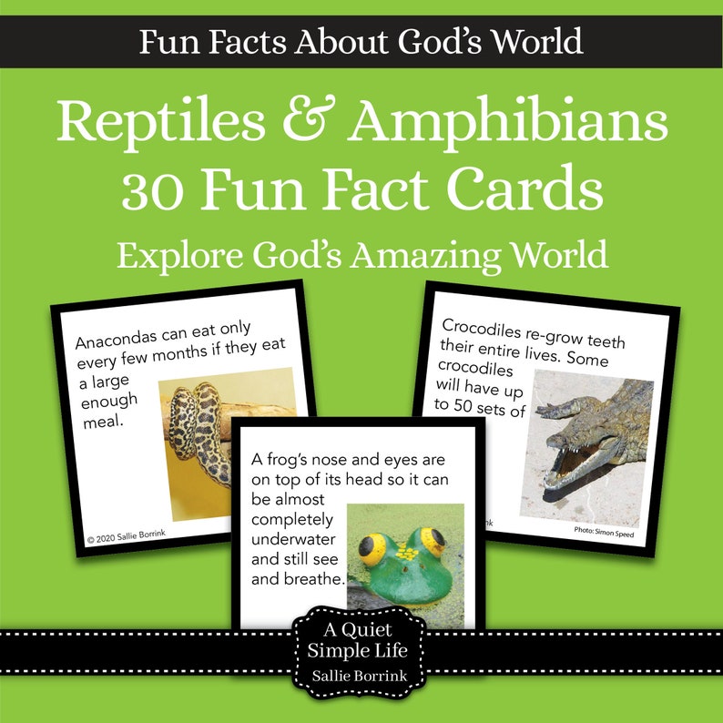 Reptiles and Amphibians Fun Facts Cards – Printable Activity - Etsy