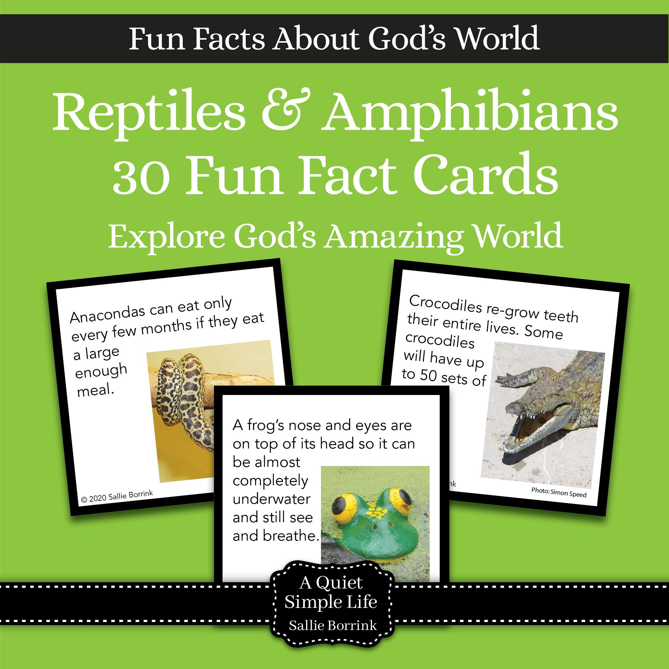 Reptiles and Amphibians Fun Facts Cards – Printable Activity - Etsy