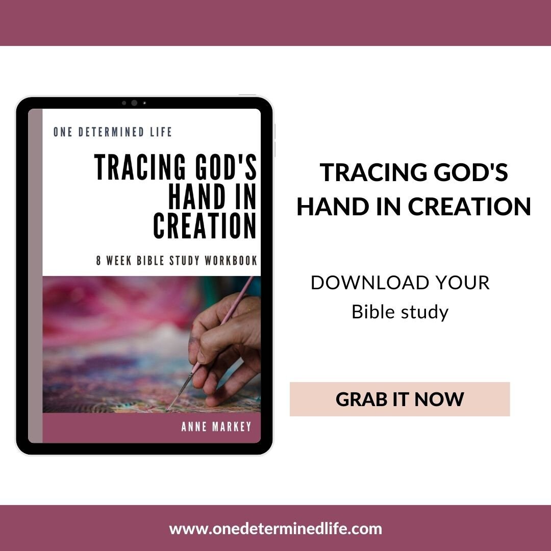In-depth Bible Study Tracing God’s Hand in Creation Digital Bible Study ...