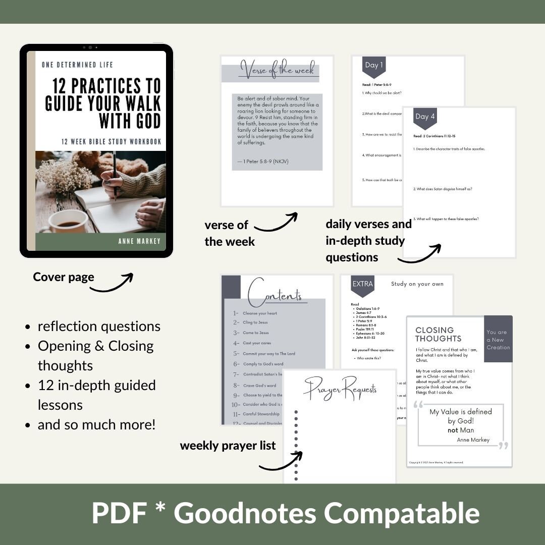 In-depth Bible Study: 12 Practices to Guide Your Walk With God ...