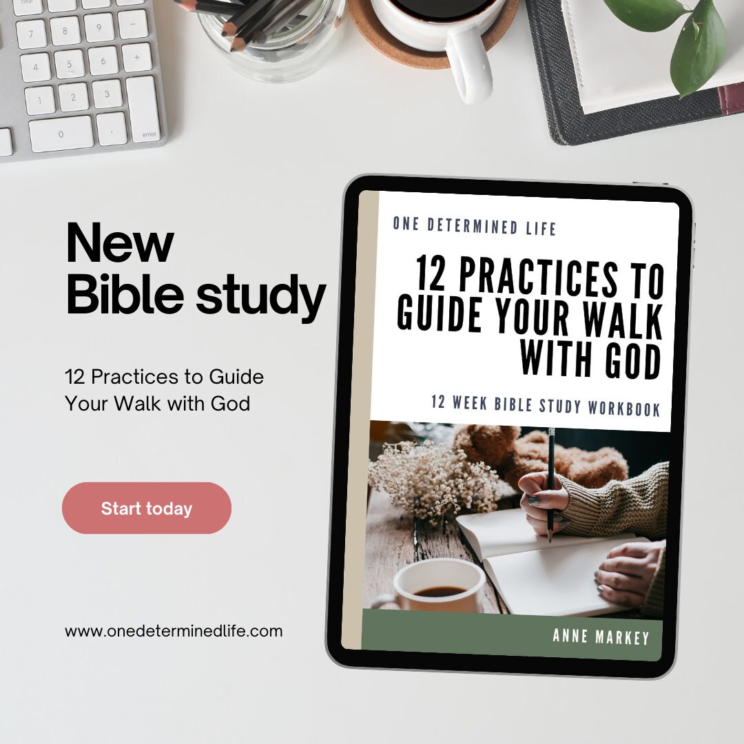 In-depth Bible Study: 12 Practices to Guide Your Walk With God ...