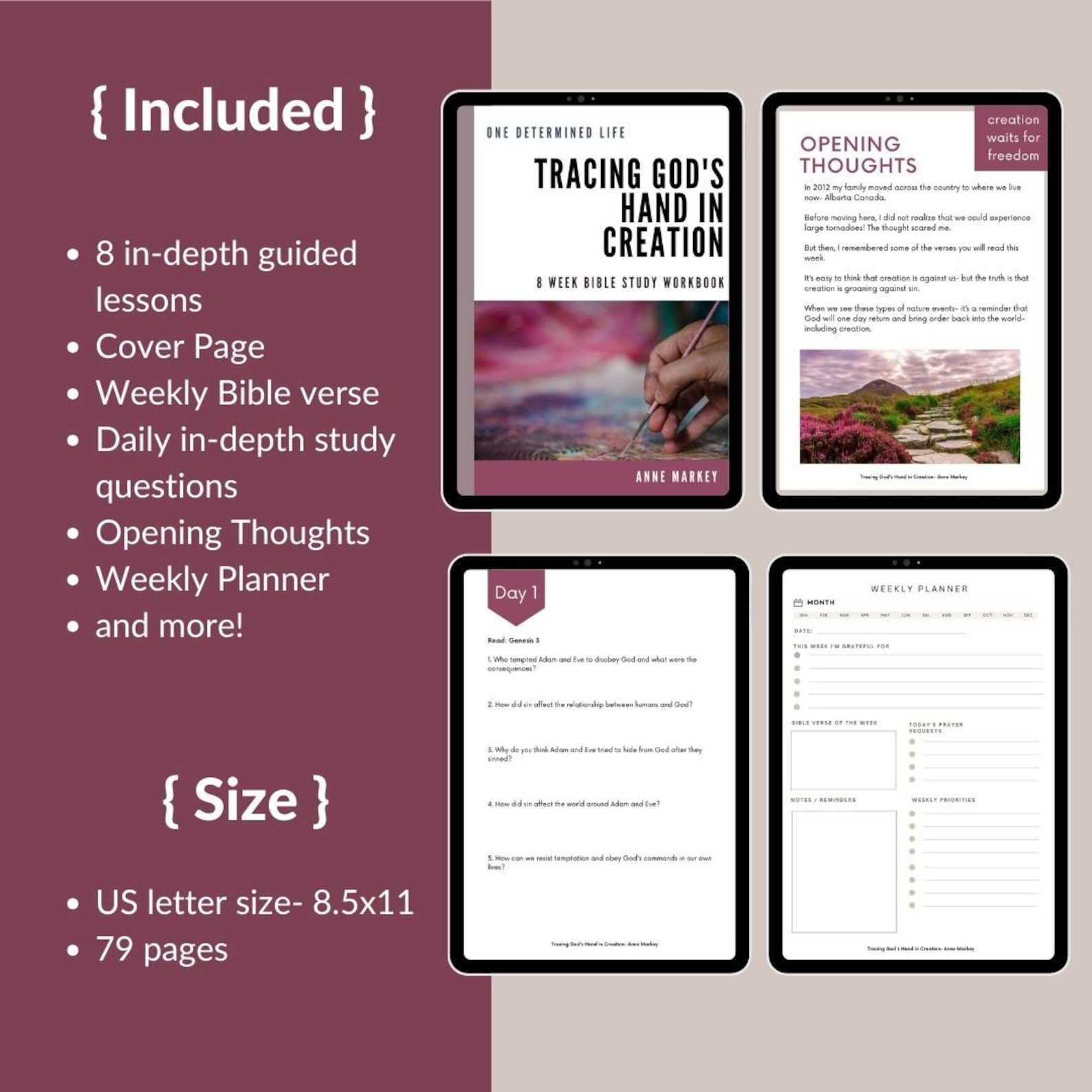 In-depth Bible Study Tracing God’s Hand in Creation Digital Bible Study ...