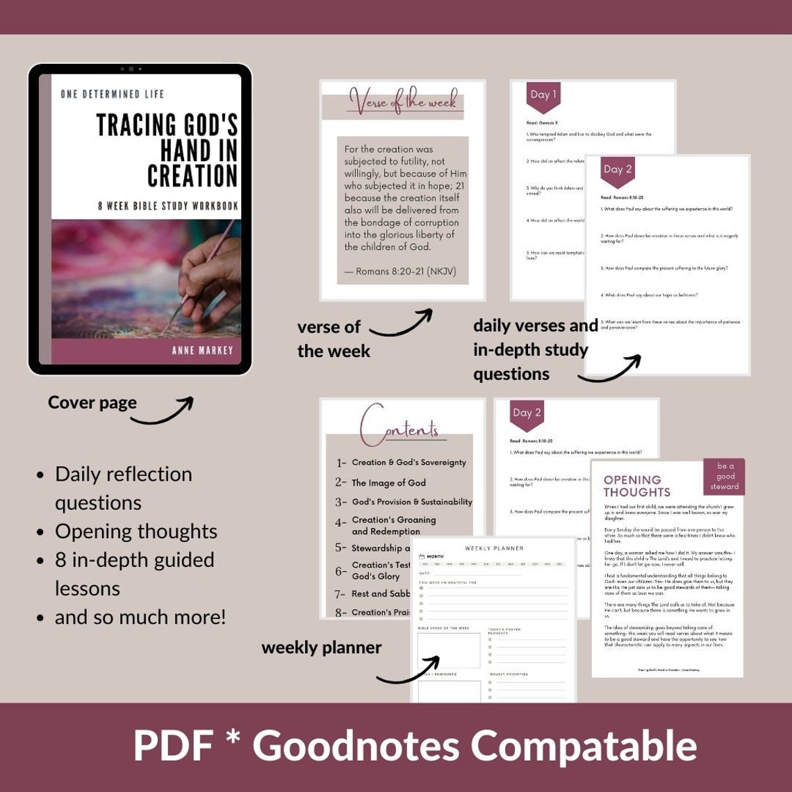 In-depth Bible Study Tracing Gods Hand in Creation Digital Bible Study ...