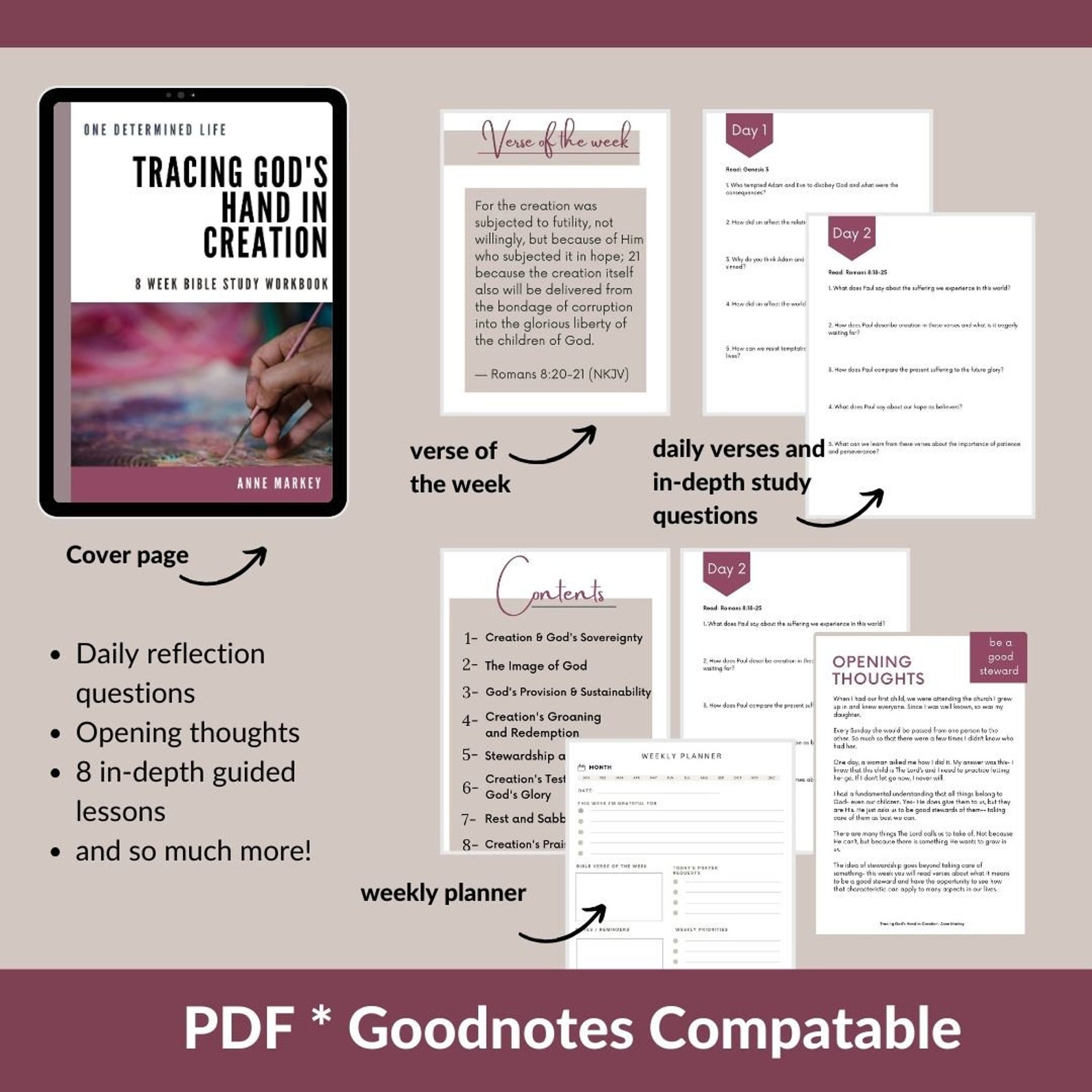 In-depth Bible Study Tracing God’s Hand in Creation Digital Bible Study ...