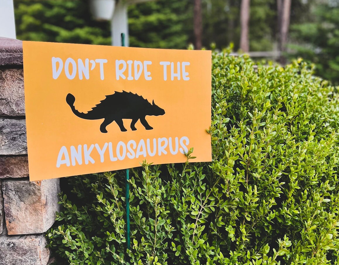 Dinosaur Party Decor Signage Bundle for Boy or Girl Dinosaur - Etsy