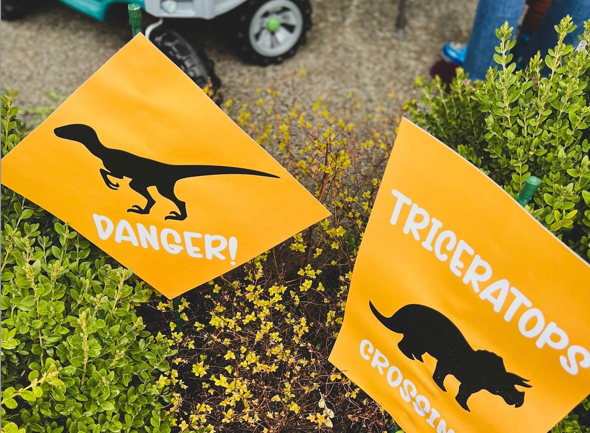 Dinosaur Party Decor Signage Bundle for Boy or Girl Dinosaur Birthday ...