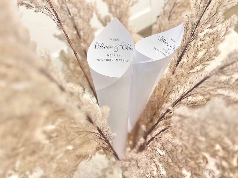 DIY Petal Cone, Wedding Petal or Confetti Toss, Paper Cone ...