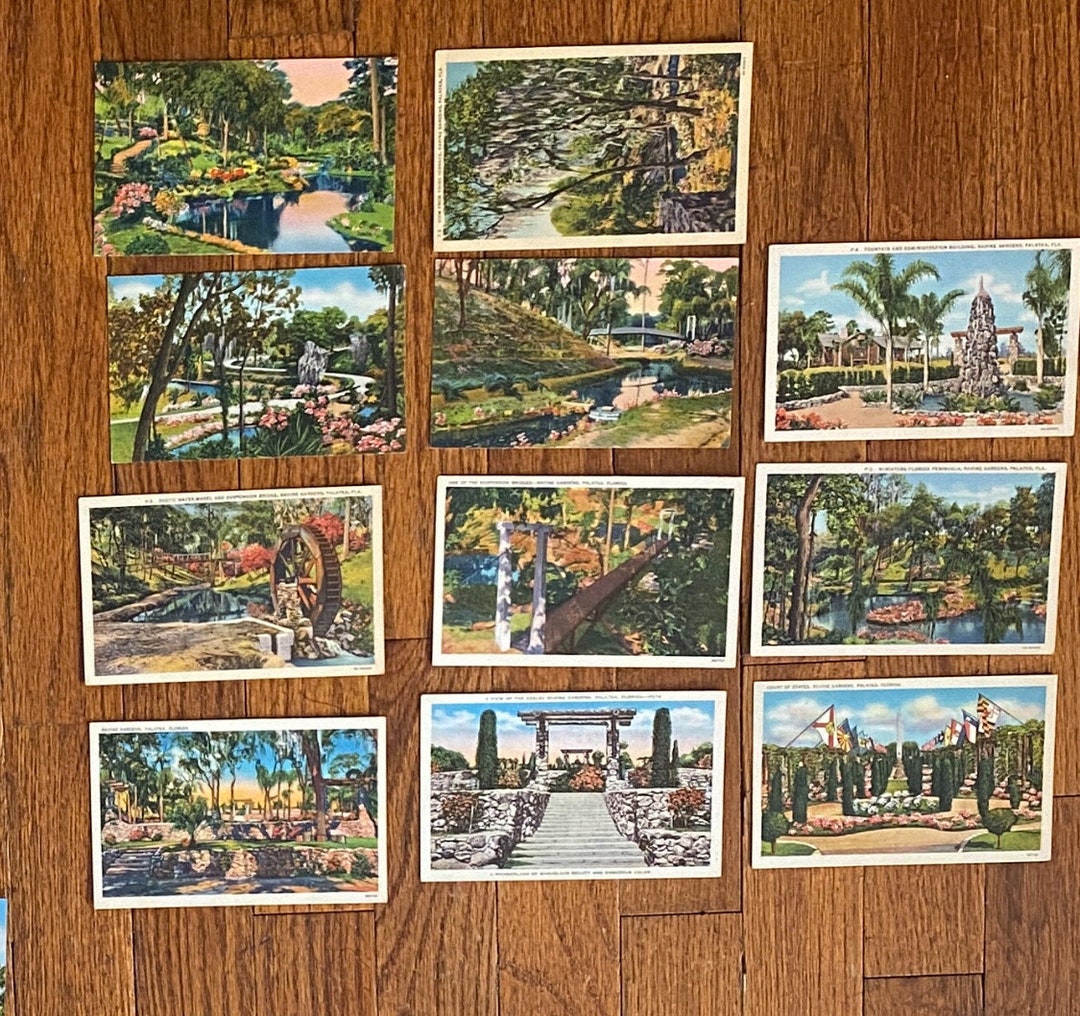 Gorgeous 117 Vintage 1940s 1950s Florida Linen Postcards - Etsy