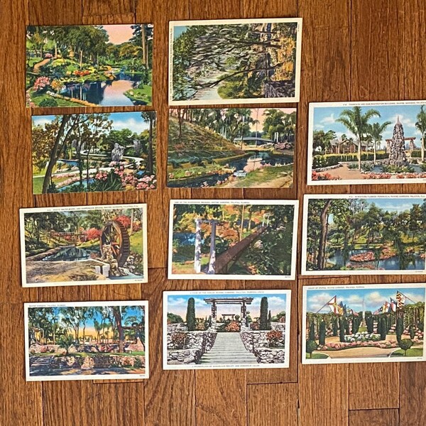 Florida Postcard - Etsy