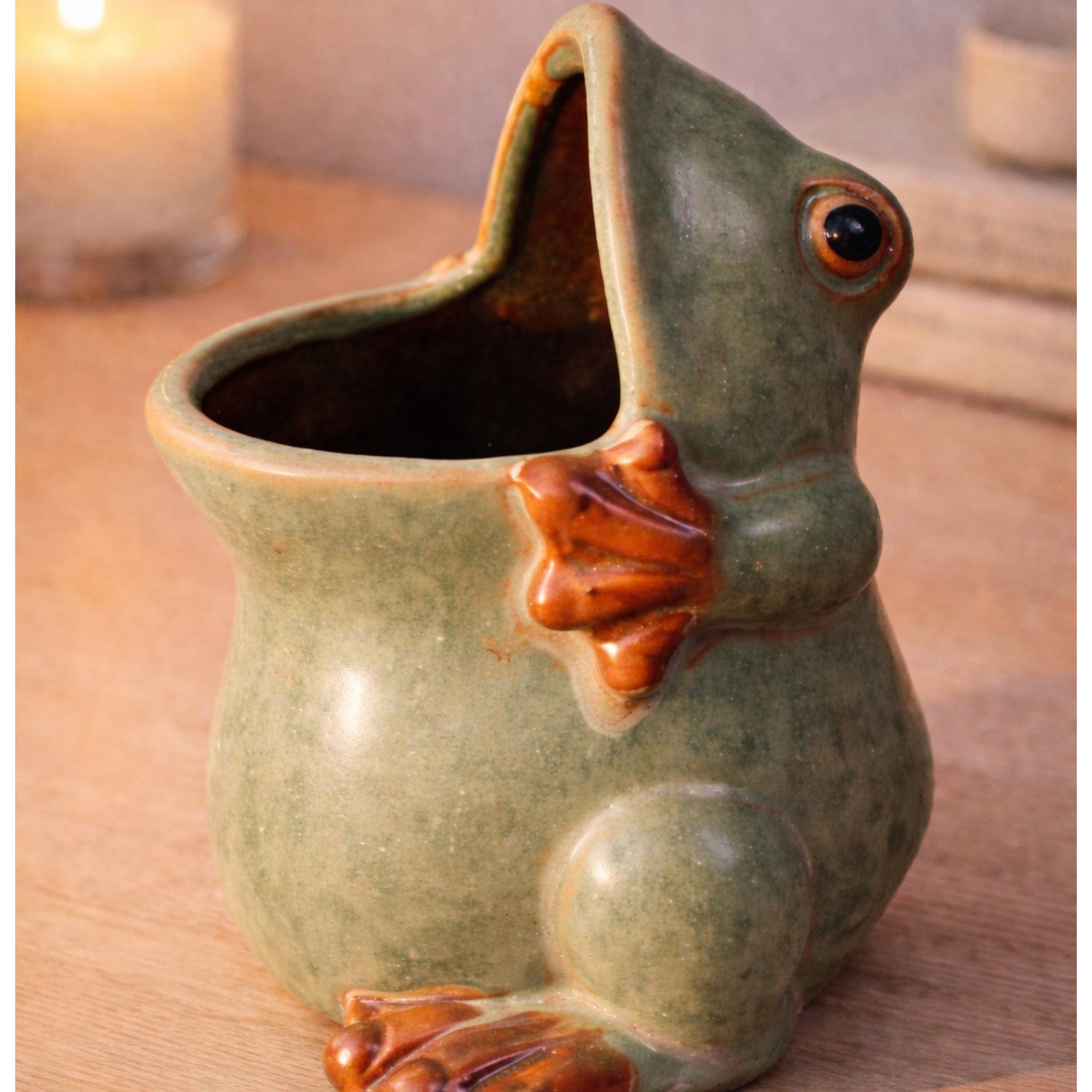 Frog Planter | Cute Ceramic Frog Plant Pot for Succulents Bonsai | Frog ...