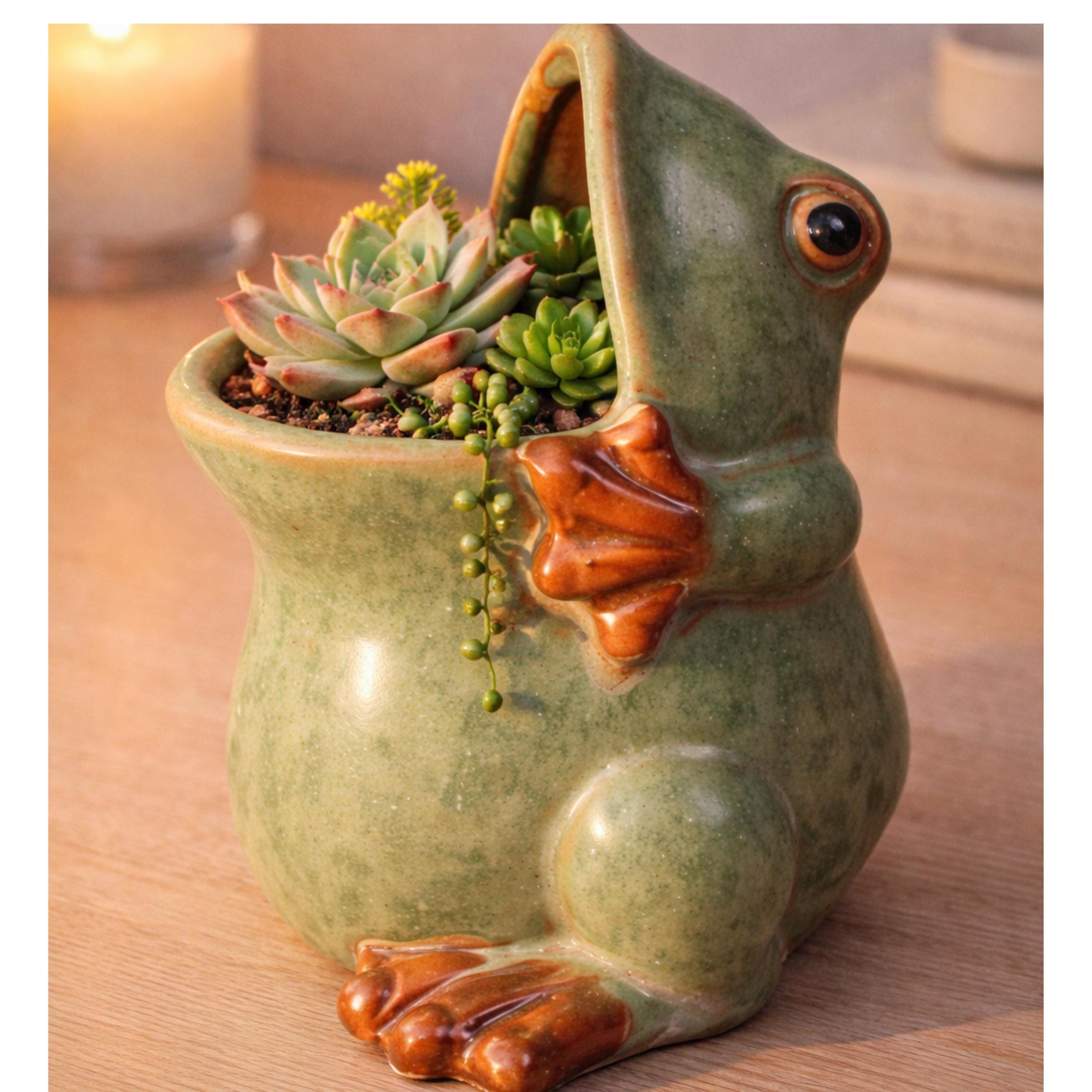 Frog Planter | Cute Ceramic Frog Plant Pot for Succulents Bonsai | Frog ...