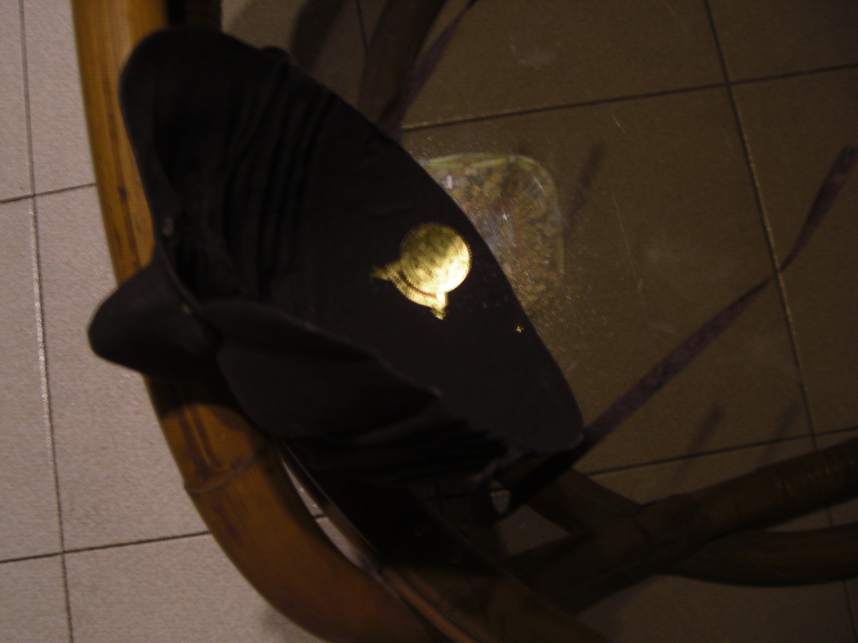 Puffin Mask in Papier-mâché. the Forge of Miracles. - Etsy