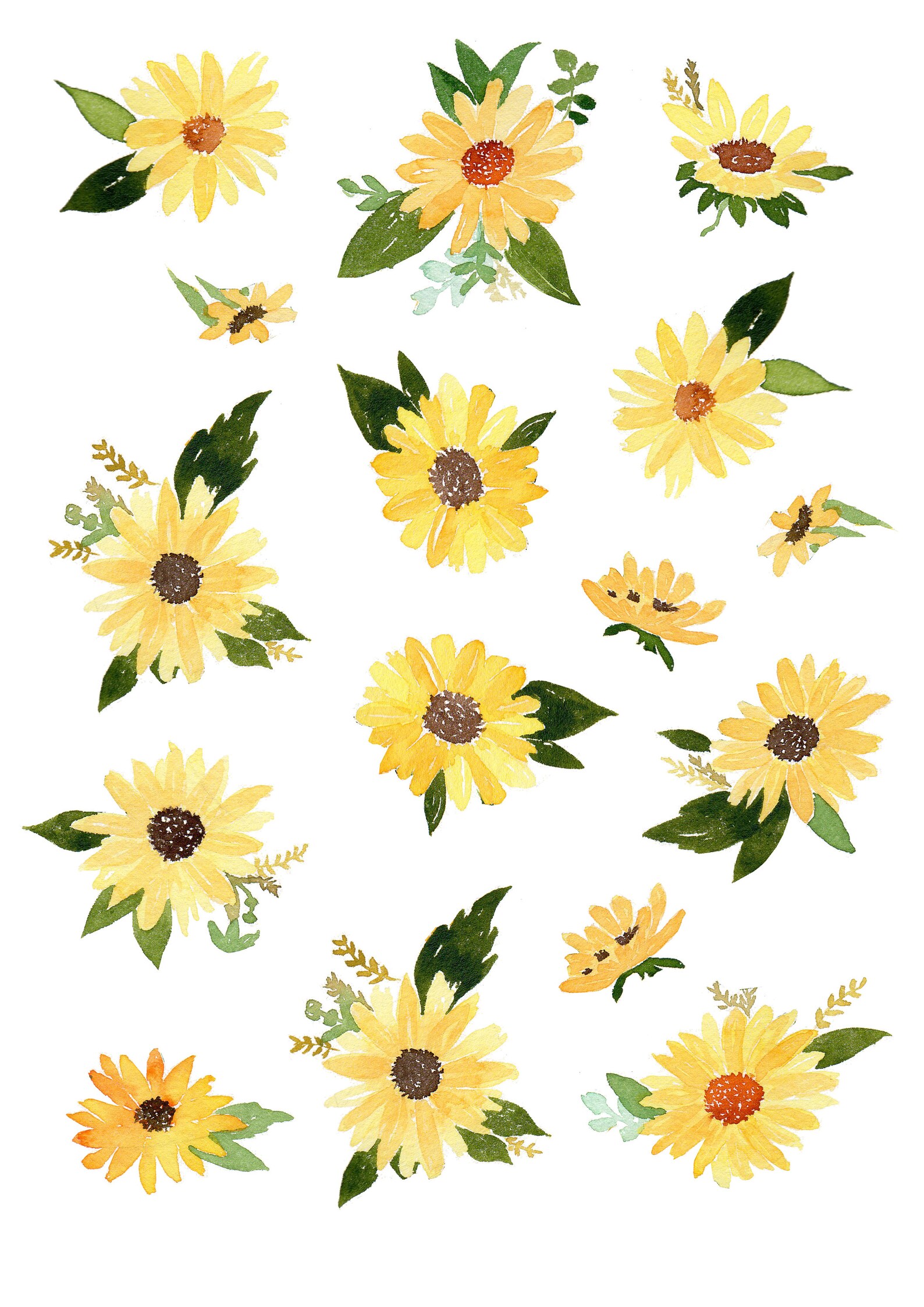 13 Sunflower Watercolor Clip Art Pack Watercolor Sunflower - Etsy