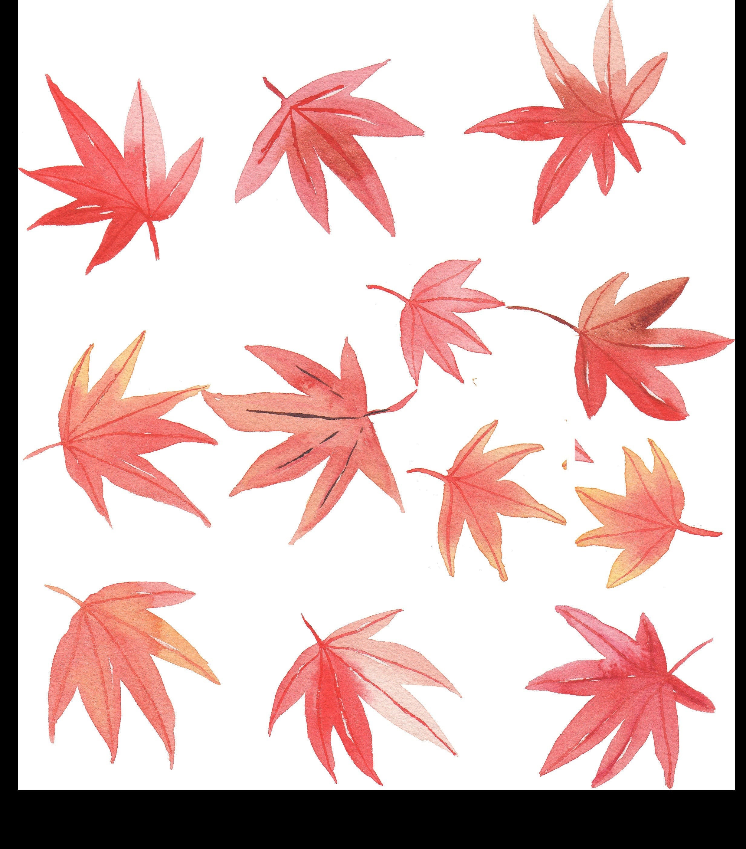 14 Maple Watercolor Clip Art Pack, Watercolor Leaf Design Elements ...