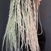 Angel Set, Synthetic Dreads With Curls,gaucho Style, Transitions From ...