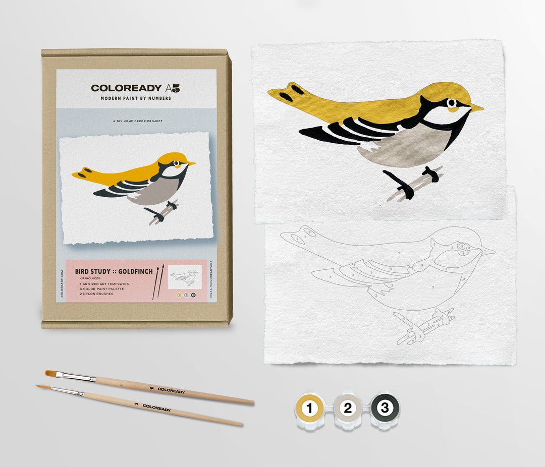 Bird Study : Goldfinch | Modern Paint by Numbers Kit - Etsy