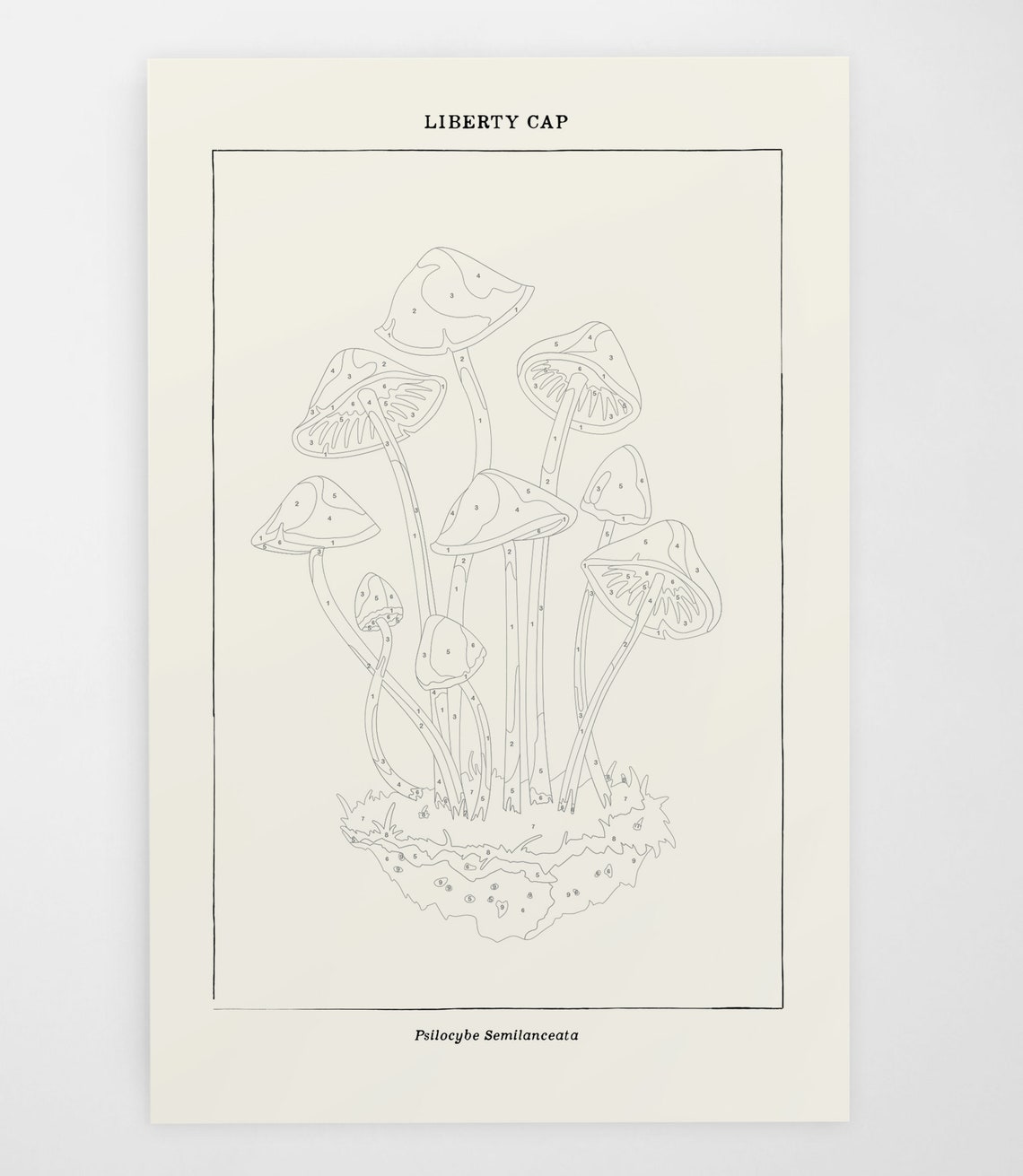 Mushroom Botanical | Modern Paint by Numbers Kit - Etsy